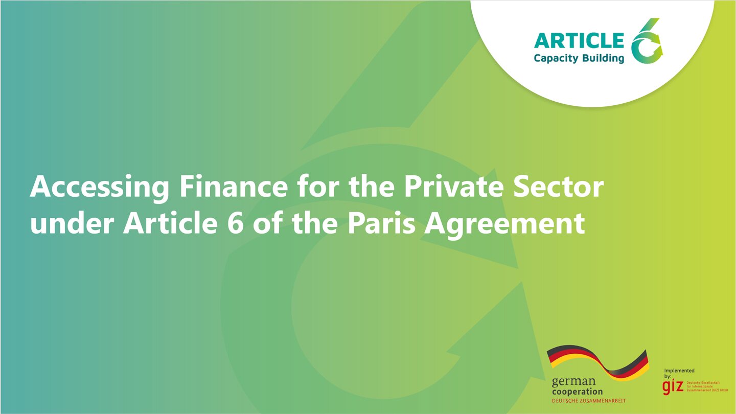 Accessing Finance for the Private Sector under Article 6 of the Paris ...